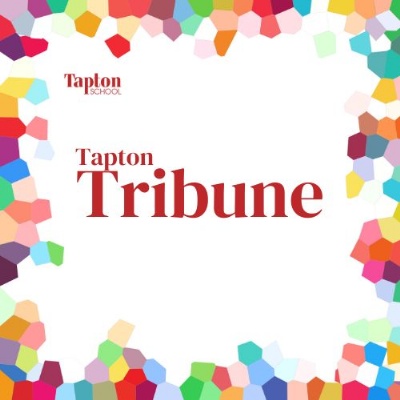 Tapton School - Tapton Tribune - 14th November 2025